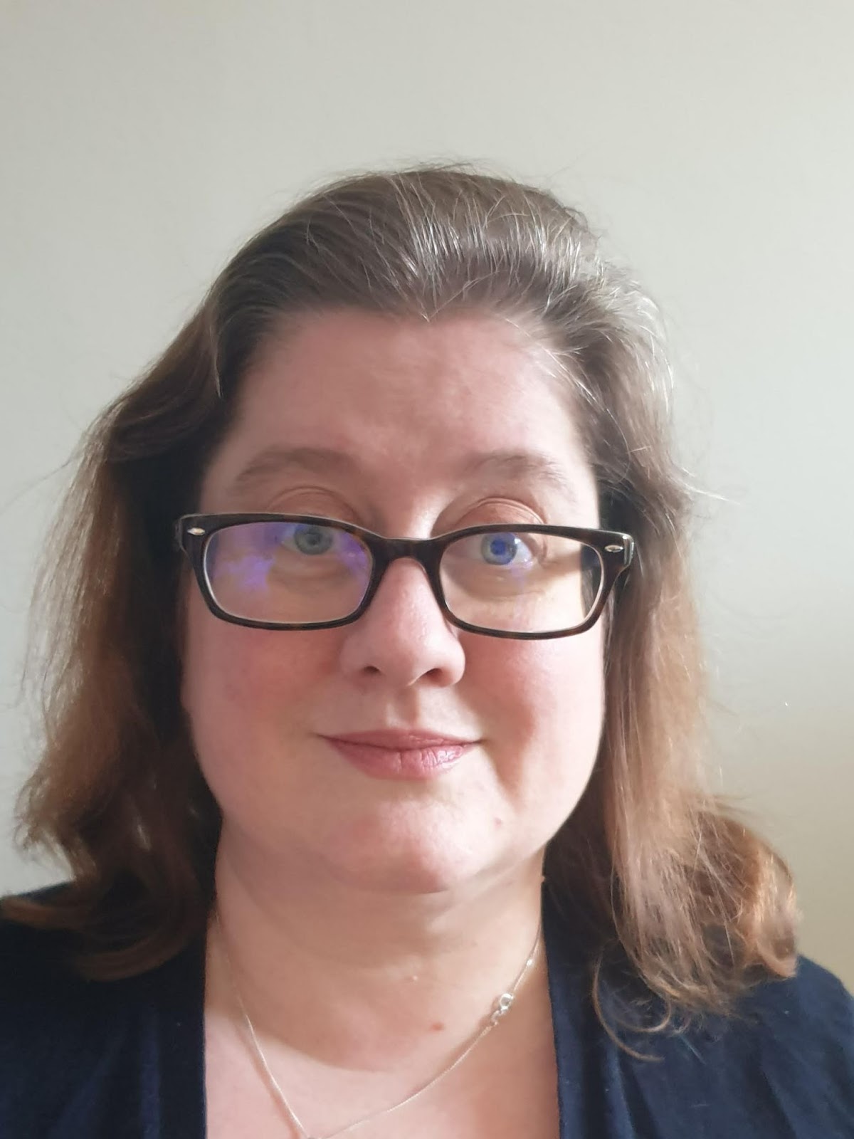 Tanith’s Blog: The National Care Service Needs a Blueprint, a Schedule ...